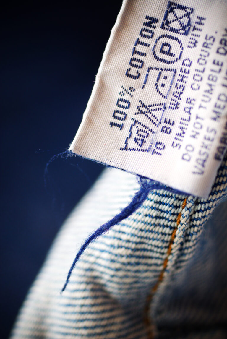 El potencial del algodón argentino en el siglo XXI · Fundar